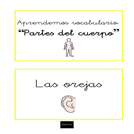Vocabulario partes del cuerpo | PDF