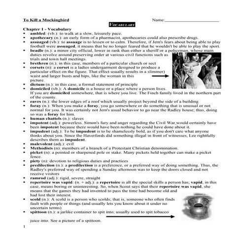To kill a mockingbird Vocabulary | PDF