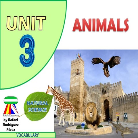 Vocabulary - The Classification of Living Things