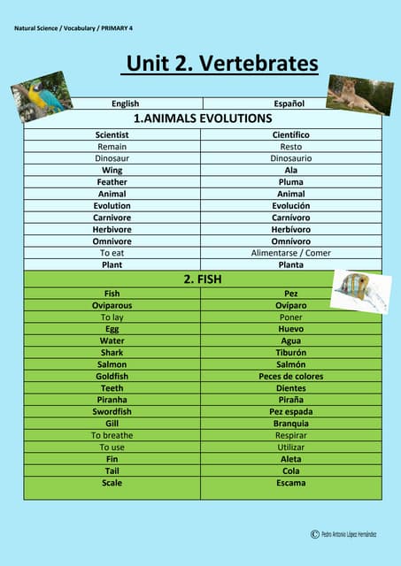 Vocabulary of invertebrates | PDF