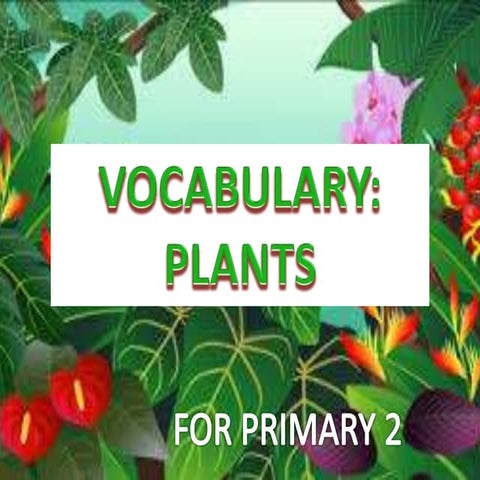 Vocabulary - Plants for Primary 2 | PPTX