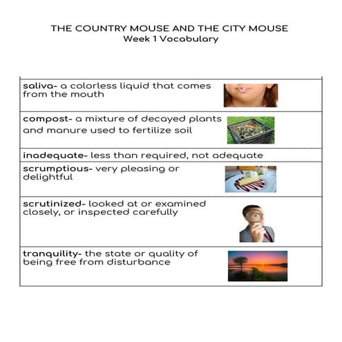 Vocabulary- THE COUNTRY MOUSE AND THE CITY MOUSE.pdf.pdf