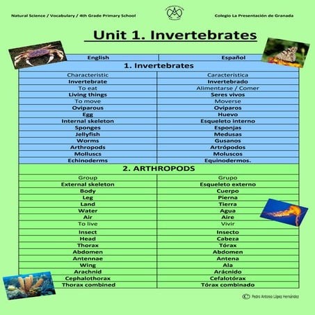 Vocabulary of invertebrates | PDF