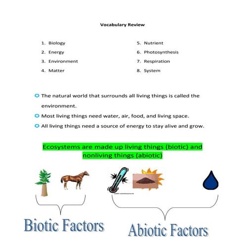 Vocabulary Review 14.1 | DOC | Biological Sciences | Science
