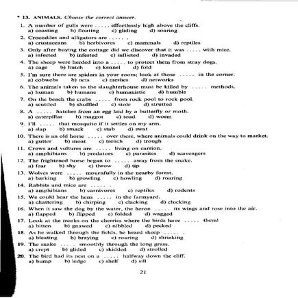 Vocabulary test 3 | PDF
