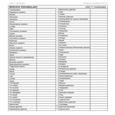 Vertebrates Unit