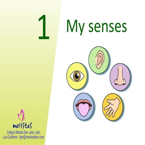 Vocabulary unit 1. my senses | PPT