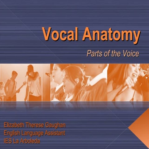 Vocal Anatomy | PPT