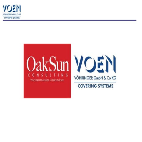 Voen presentation cherries with movie 2011 | PPTX