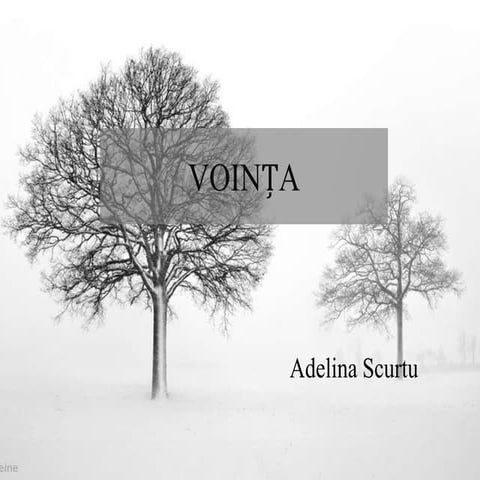 Vointa | PPTX
