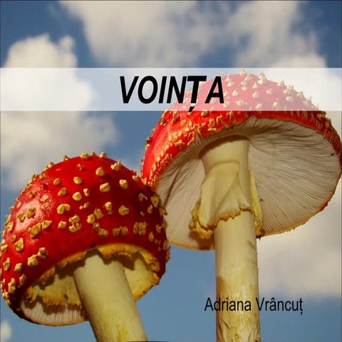 Vointa Adriana | PPT