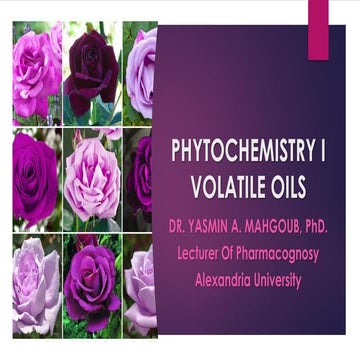 volatile oil 4 3.pdffffffffffffffffffff | PPT