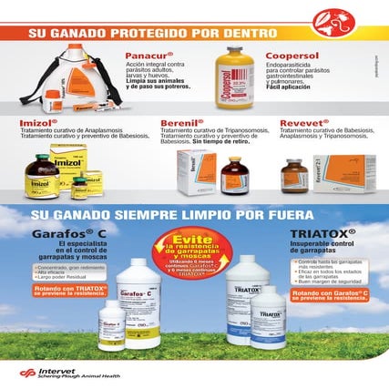 WP2 - OPEN INNOVATION PROCESS MODEL | PDF