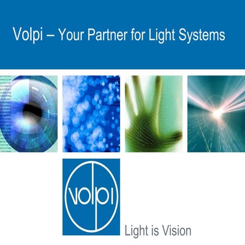 Volpi Company Presentation 12 | PDF