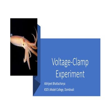 Voltage clamp experiment | PDF
