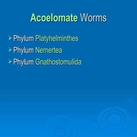 Flatworms | PPT