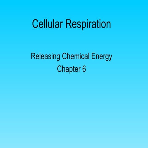 Cellular Respiration PowerPoint | PPT