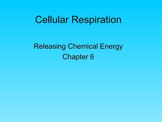 Cellular Respiration | PPT