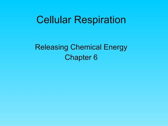 Cellular respiration introduction for 9th grade biology | PPT