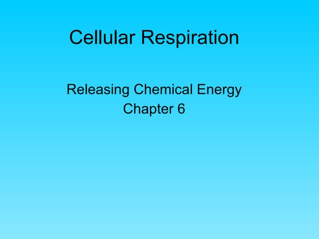 Cellular respiration introduction for 9th grade biology | PPT