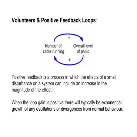 Volunteers & positive feedback loops | PPT