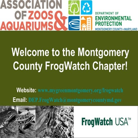 FrogWatch Volunteer training session 2019 | PPT