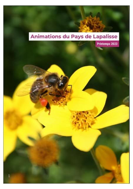 Ais 038(rev.1) | PPTX