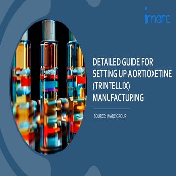 Vortioxetine (Trintellix) Manufacturing Plant Project Report PDF | PDF
