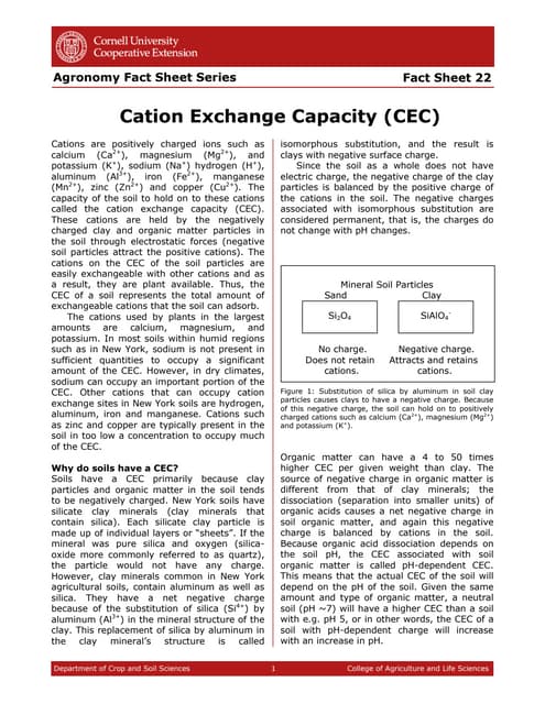 Sources of charges in soil | PPTX