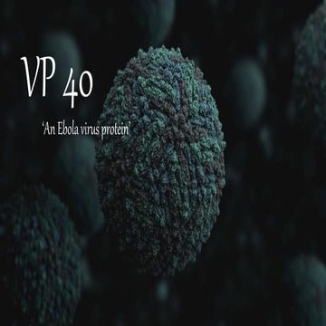 Vp40 protein | PPT