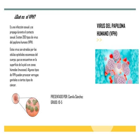 Fisiopatología de la infección por virus de VPH | PPTX