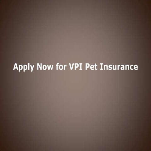 VPI Pet Insurance | PPT