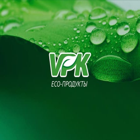 VPK Presentation | PPT