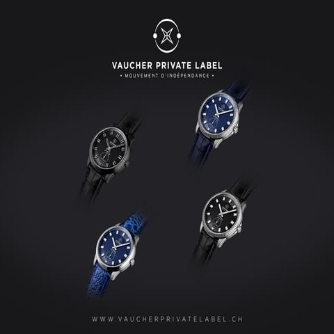 Vaucher Private Label : create your own high end watch | PDF