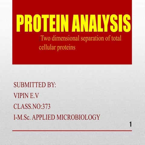 PROTEIN ANALYSIS | PPT