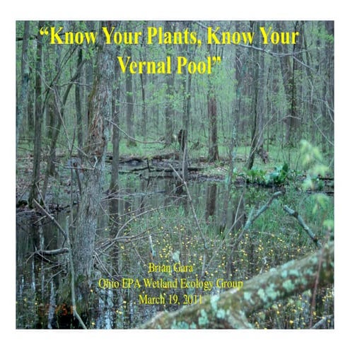 Vernal Pools & Plants | PPT