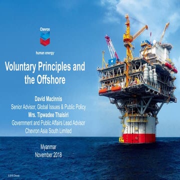 Chevron: Voluntary Principles and the Offshore | PDF