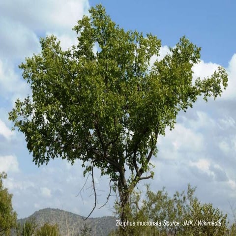 VRA 2014 VRA Core Unbound, Arnold | PPTX