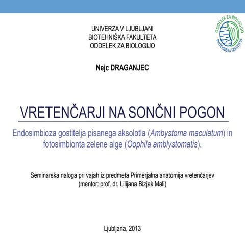 Predstavite: Vretenčarji na sončni pogon - Endosimbioza fotosimbionta ...