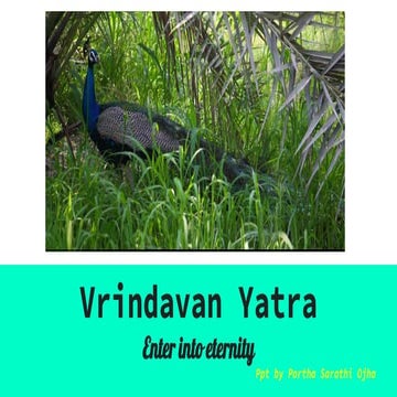 Vrindavan yatra by Partha Ojha | PPTX