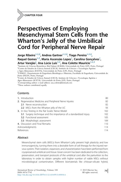 Stem Cell Therapy in Bladder Dysfunction | PDF | Physical Therapy ...