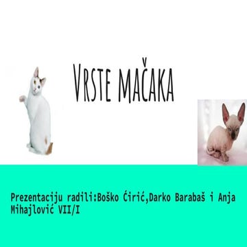 Vrste mačaka u najzivijem svetu sa sveta.pdf