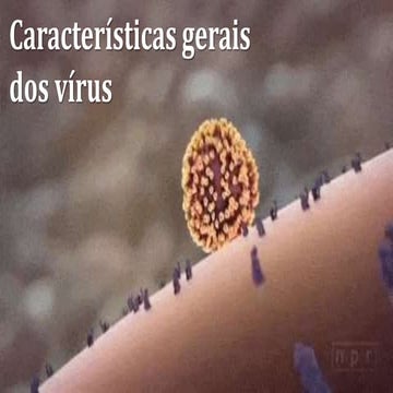 Biologia- Virus | PPTX