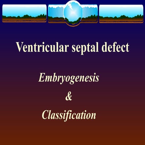 Vsd embryology | PPT