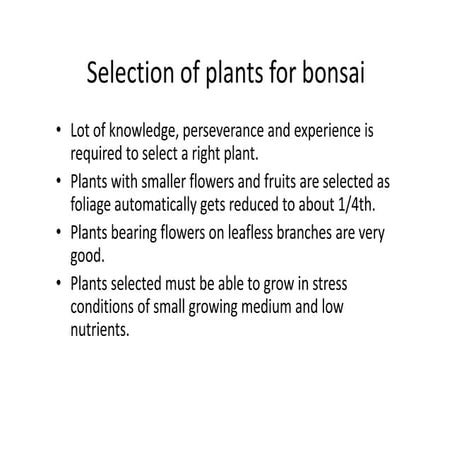 Vsf 473 lect_13_bonsai28 | PDF