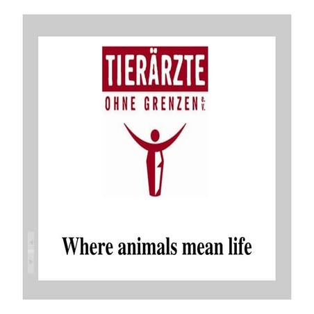 Elisabeth Hartwig: Recovery and rehabilitation project in South Sudan | PDF