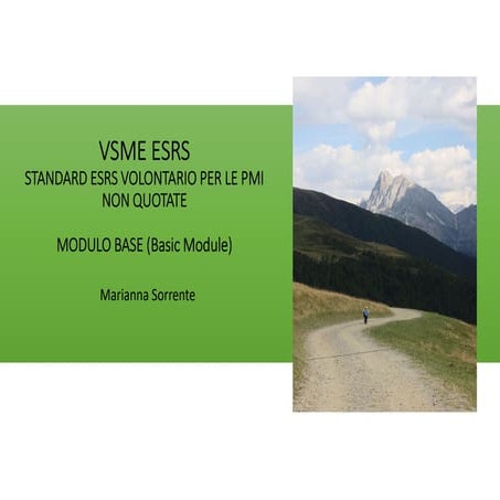 VSME ESRS Standard Volontario per le PMI non quotate | PDF
