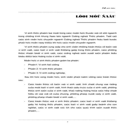 Vsv 01 mo_dau | PDF | Free Download