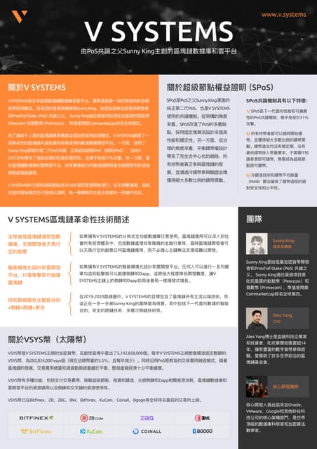 V SYSTEMS - Coin Flow_CN | PPT