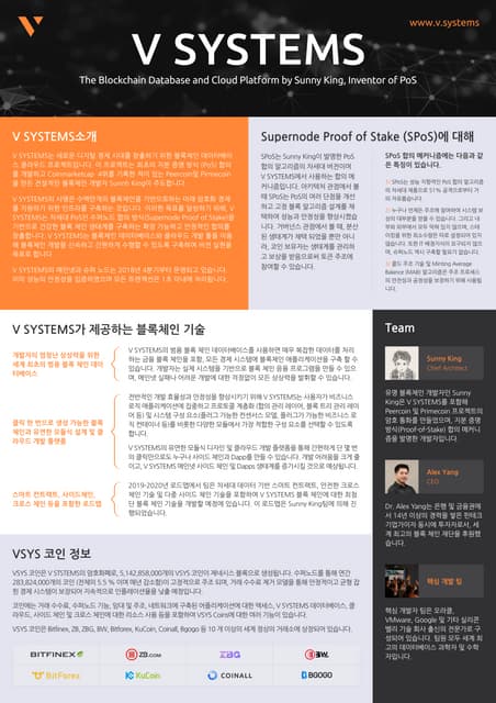 V SYSTEMS - Coin Flow_CN | PPT